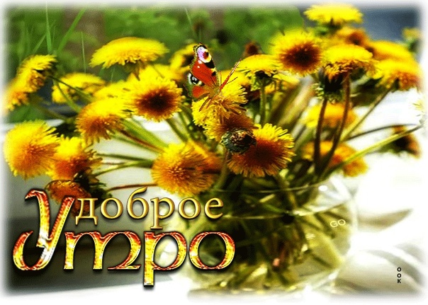 2835299_Dobroe_ytro_604_odyv (604x431, 134Kb)